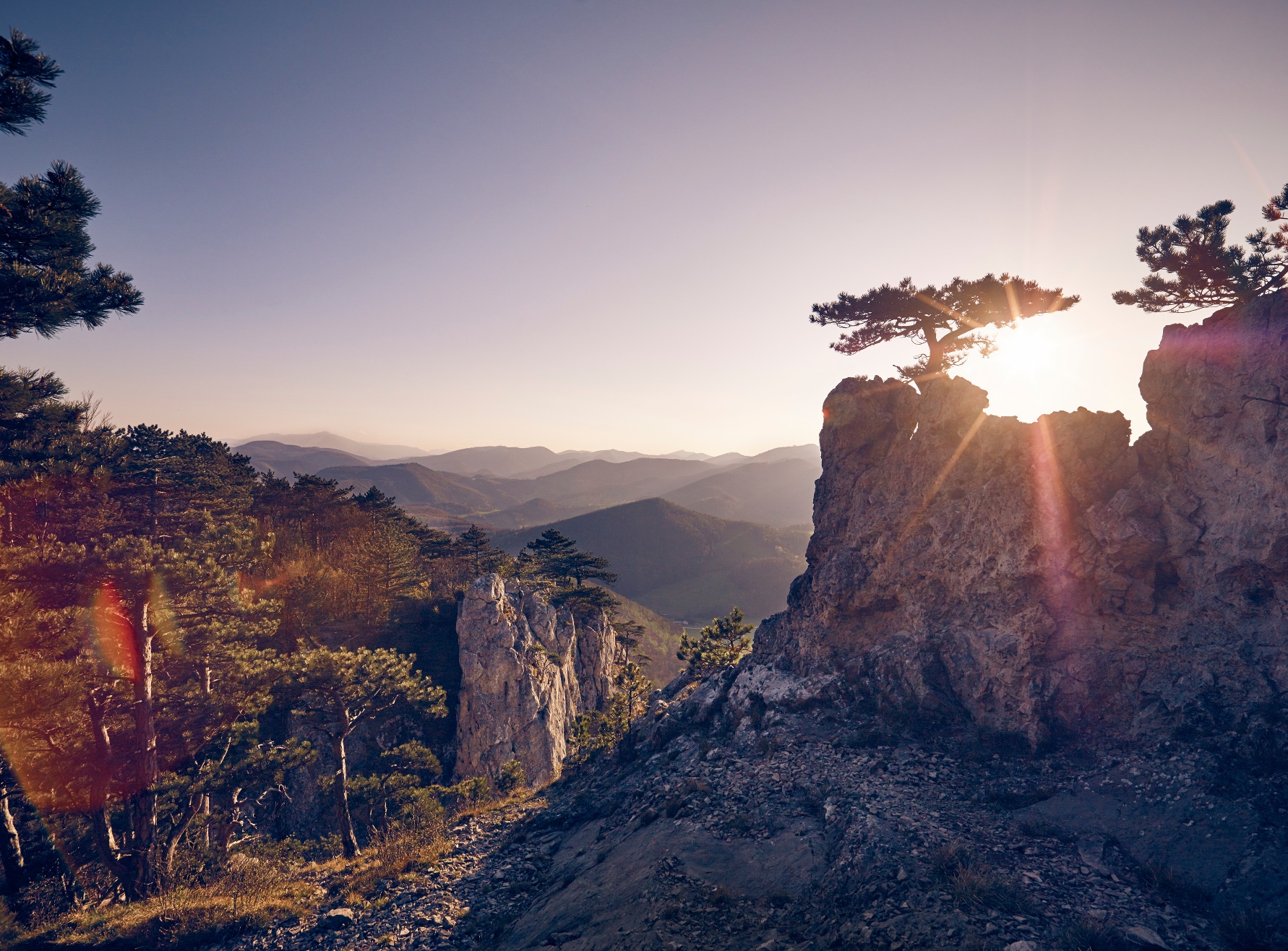 stp Route #8 Tulln - Biospährenpark Wienerwald