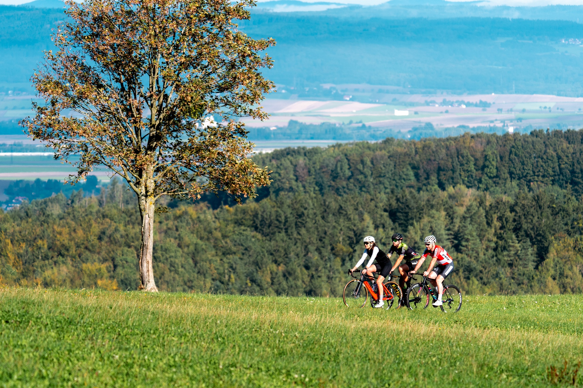 stp Route #12 St. Pöltner Radmarathon