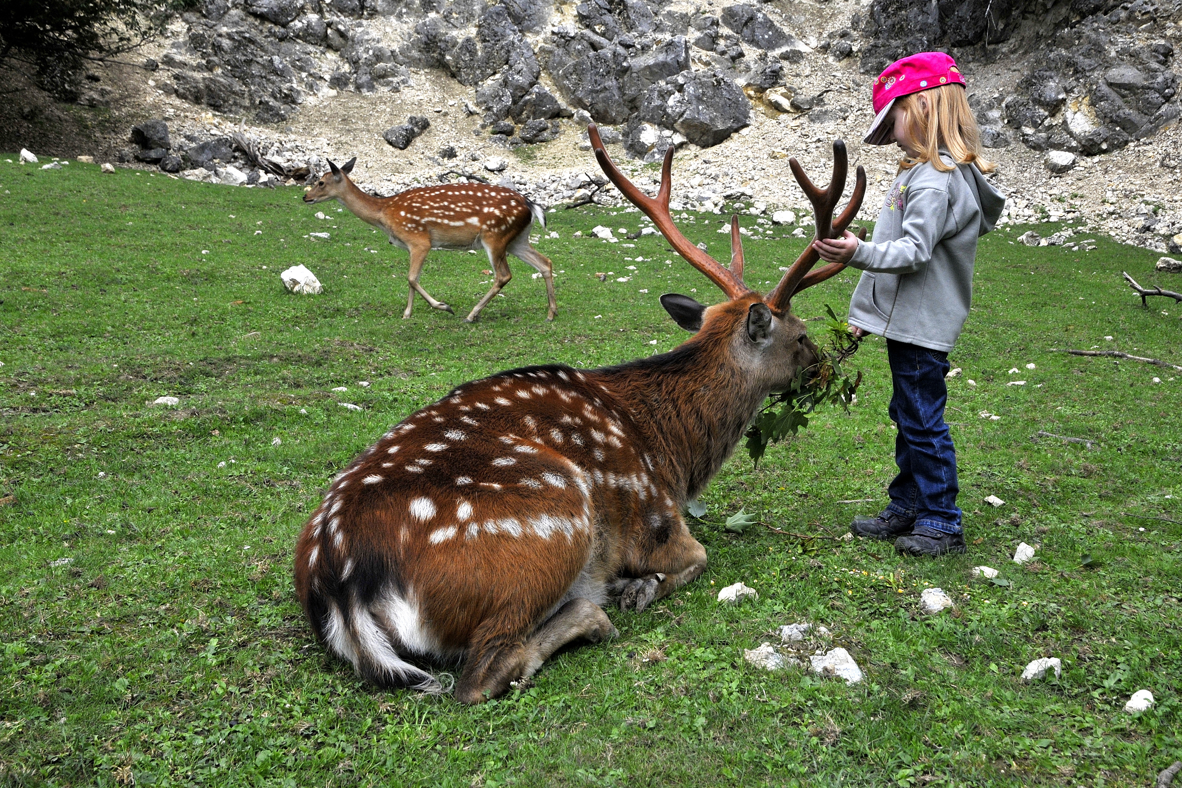 Wildpark Ernstbrunn