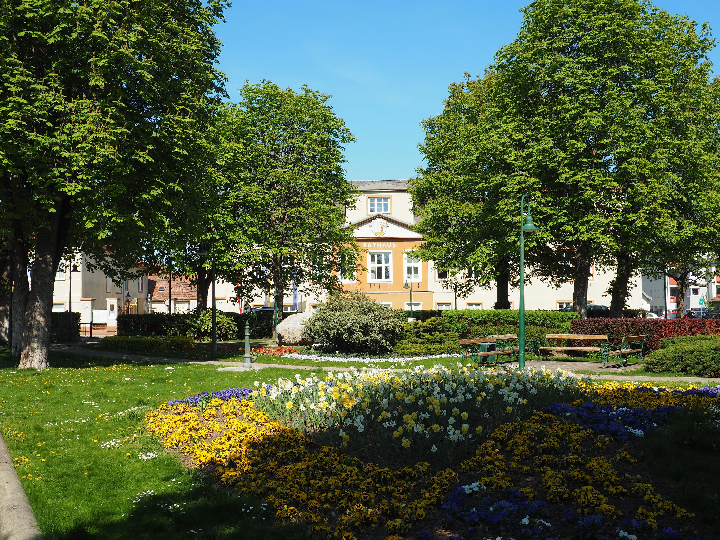Marktgemeinde Sollenau