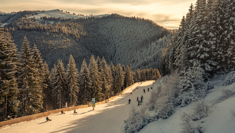 Fun in the snow for all - tobogganing at Semmering