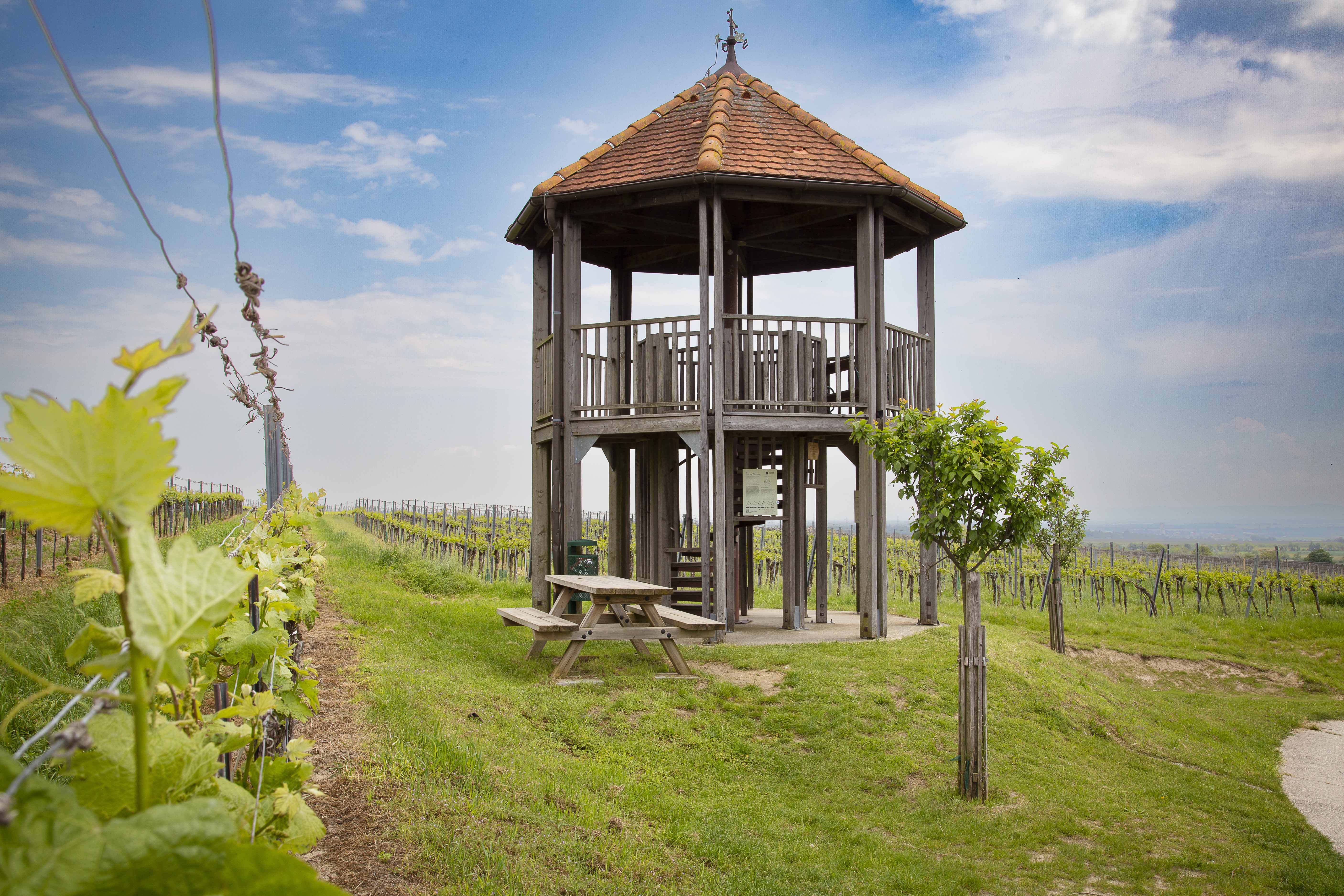 Aussichtswarte Fels am Wagram